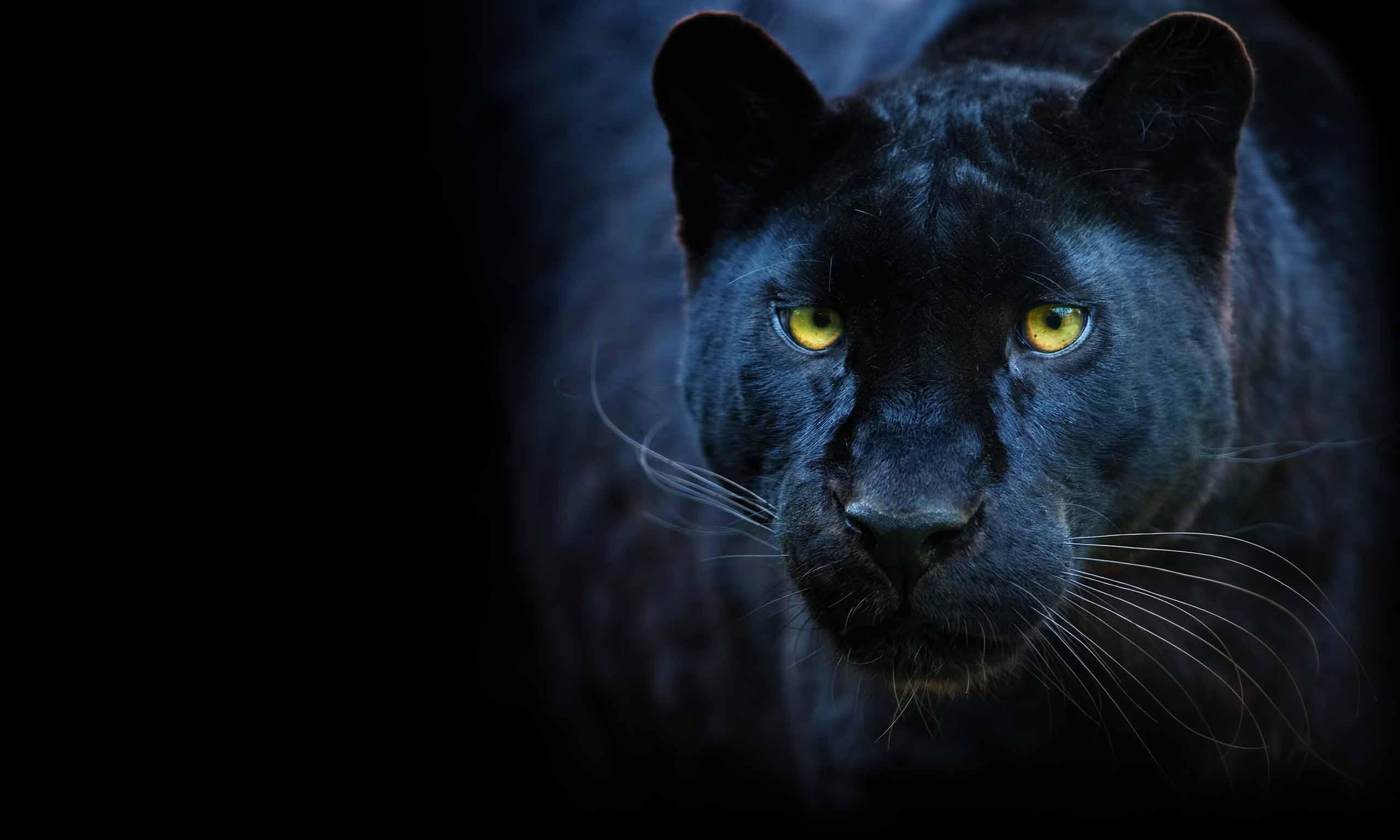 Full service in custom display solutions | Q-lite