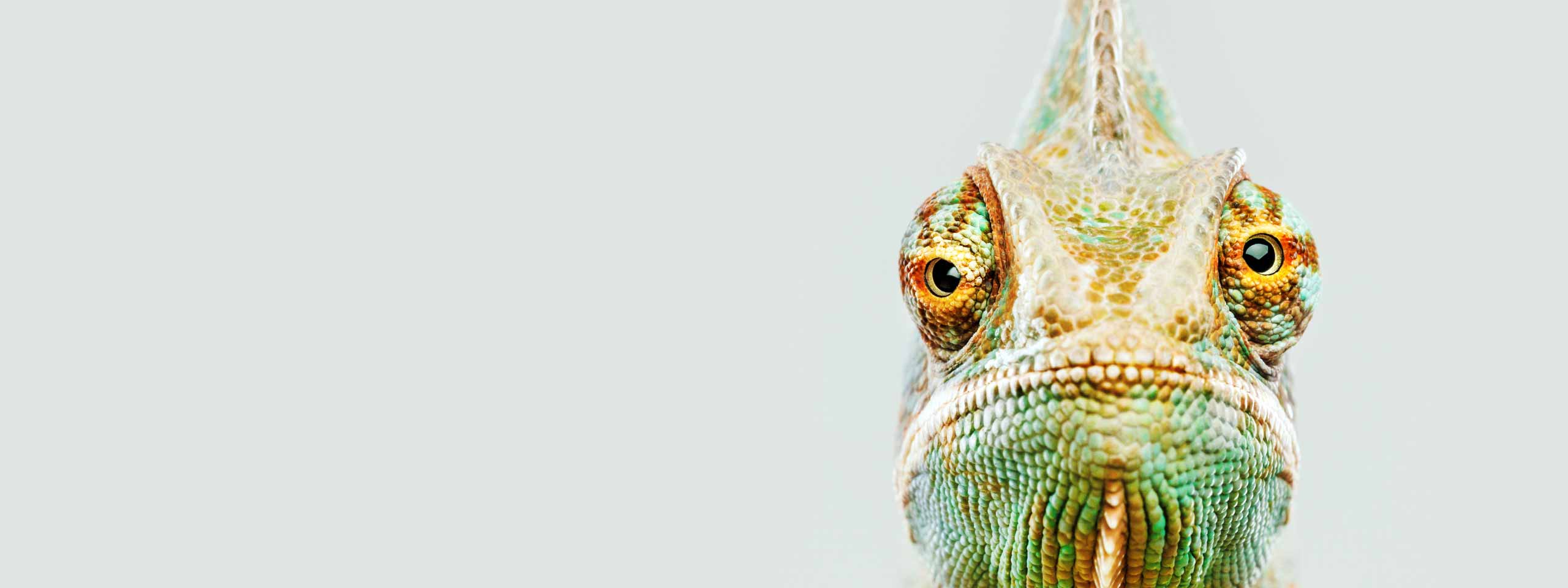 Smart custom LED and LCD display solutions | Q-lite